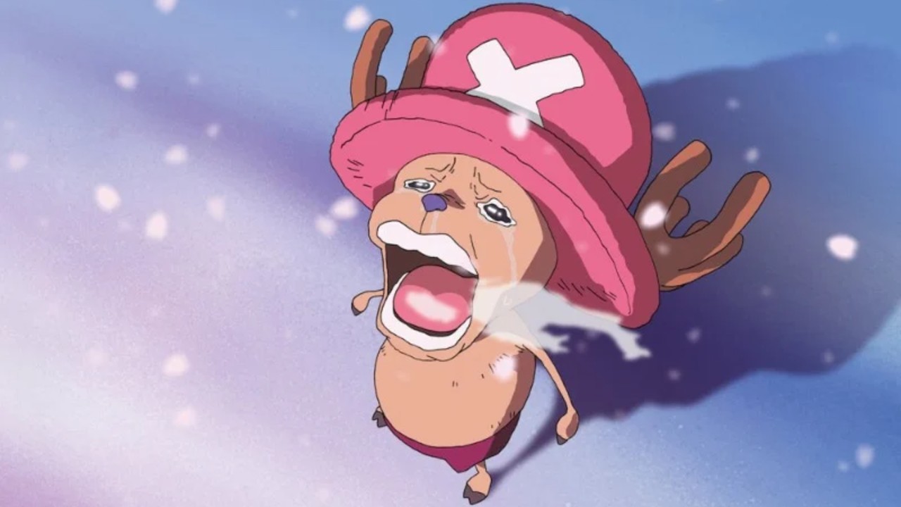 Why is Tony Tony Chopper Confused As The Ship’s Pet? - Movified